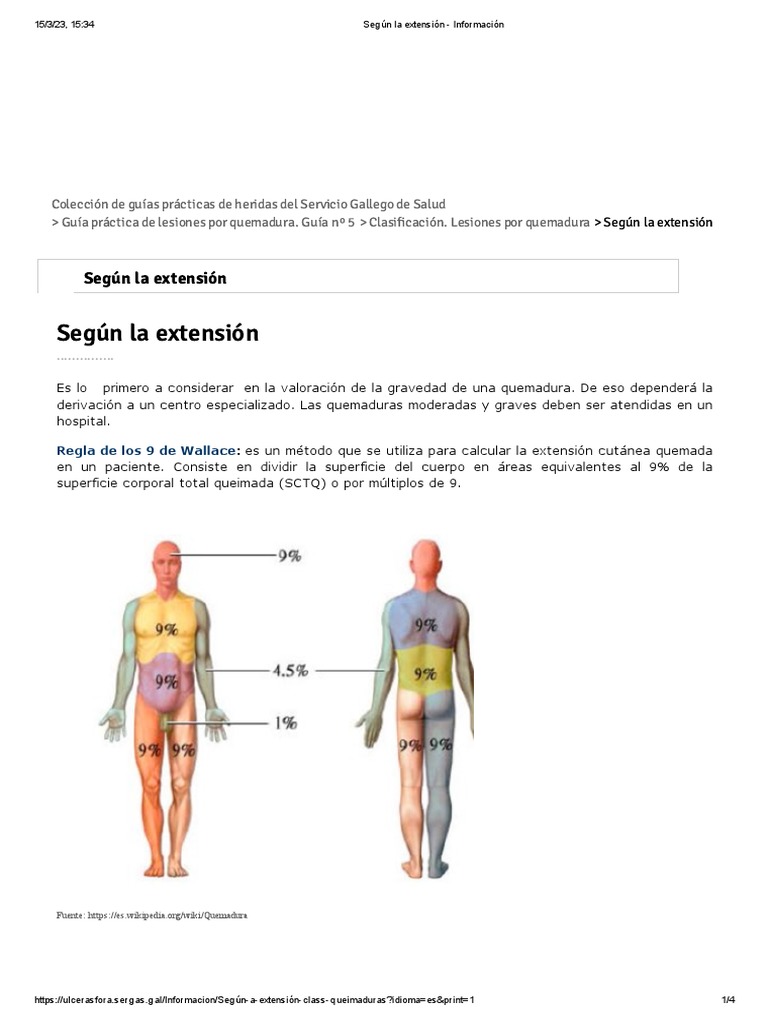 Según la extensión - Información | PDF | Quemar | Medicina