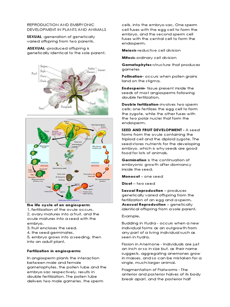 Reproduction and Embryonic Development in Plants and Animals | PDF ...