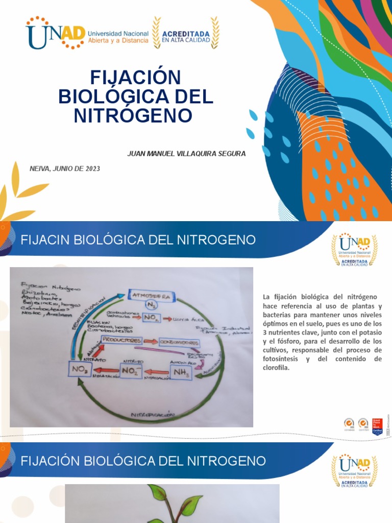 Fijación Biológica de Nitrógeno | PDF | Ciencias de la Tierra | Nitrógeno