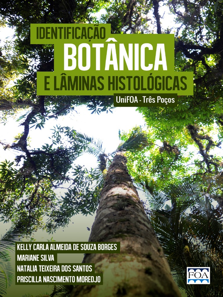 Identificacao Botanica | PDF | Árvores | Taxonomia (Biologia)
