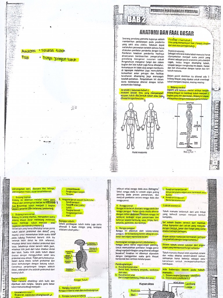 Anatomi Dan Faal-Pmr | PDF