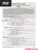 Athlean X BUILT For Size | PDF | Individual Sports | Weight Training