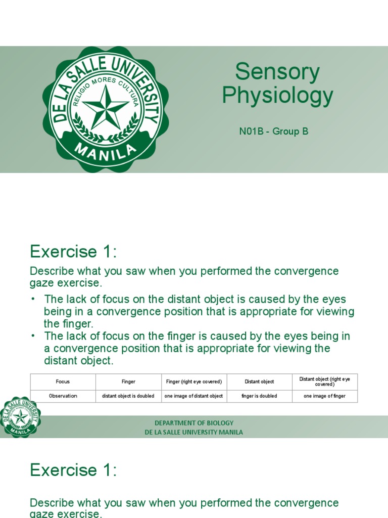Group B - Sensory Physiology | PDF | Eye | Taste