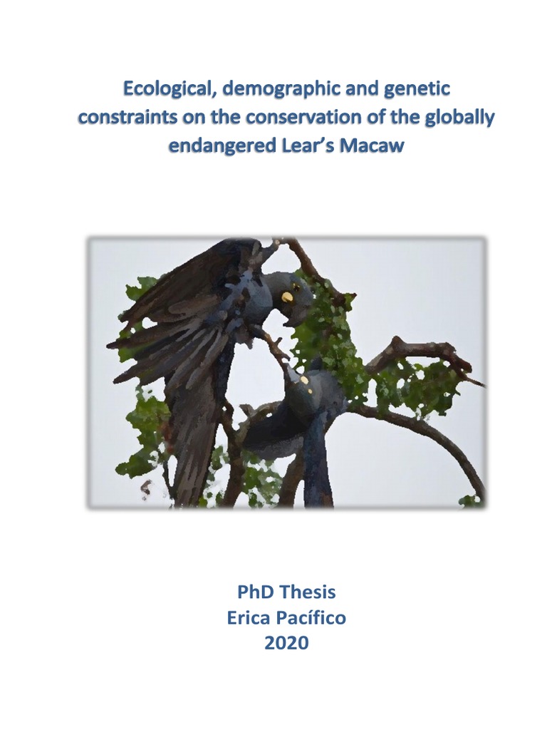 Lear's Macaw Conservation Constraints | PDF | Conservation Biology ...