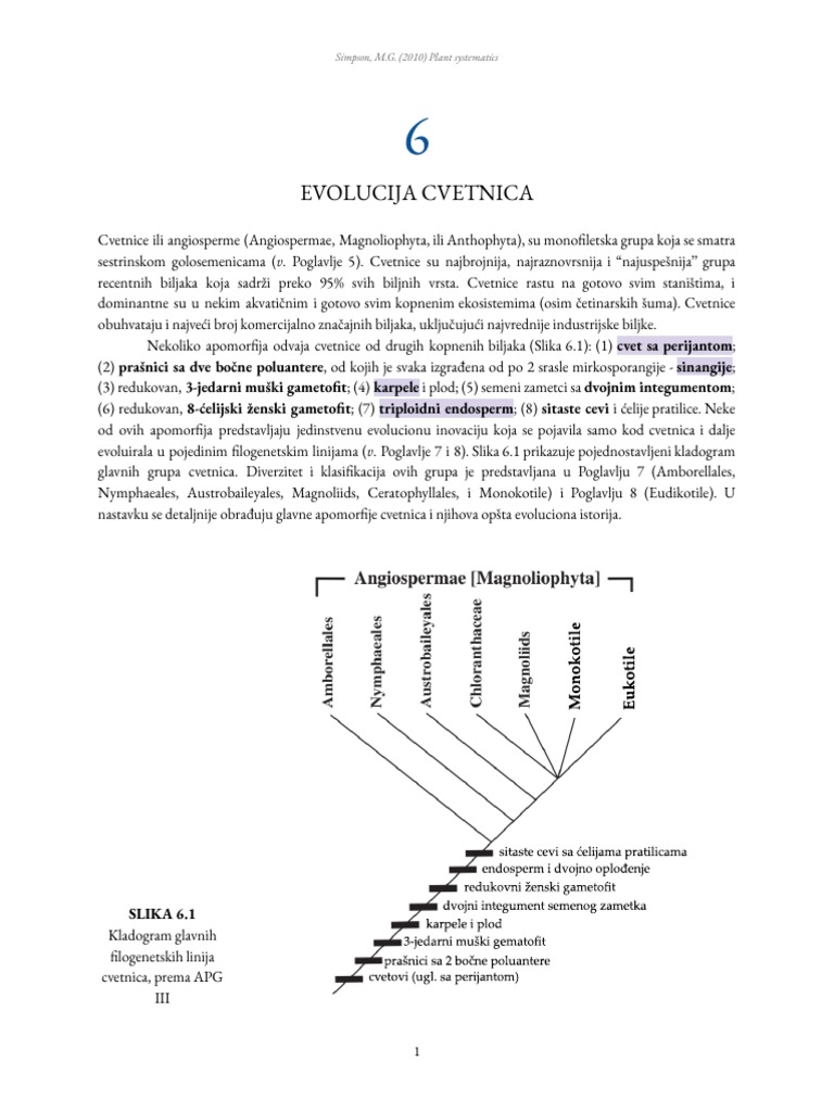 Ch6. Evolucija Cvetnica | PDF
