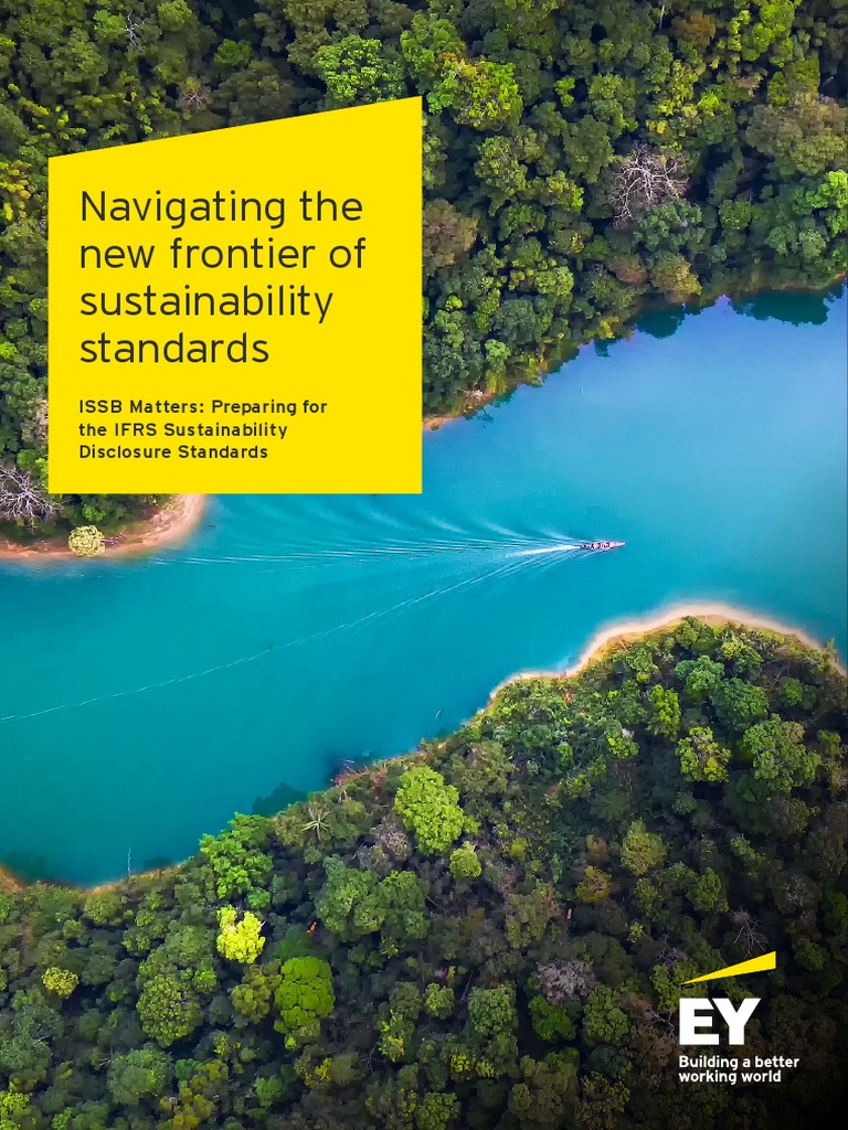 IFRS Sustainability Disclosure Standards Guide | PDF | International ...