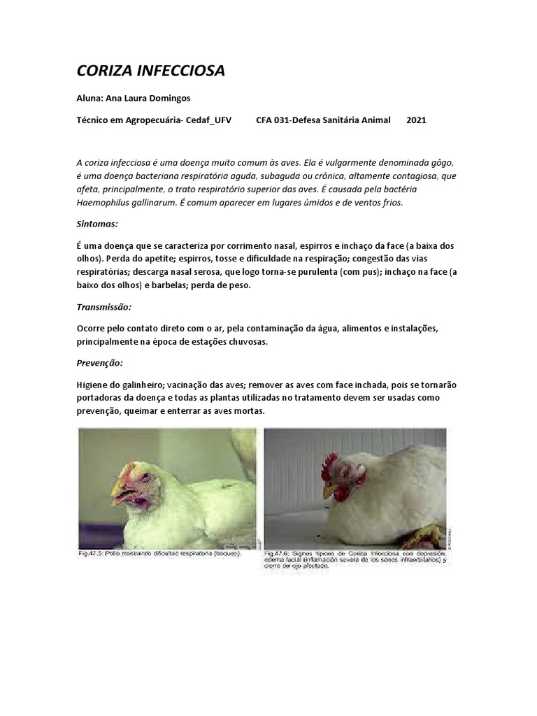 Coriza - Infecciosa | PDF