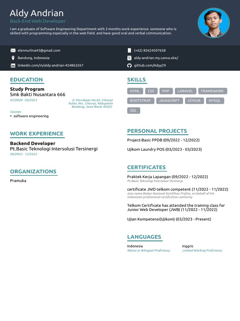 Aldy's Resume | Download Free PDF | Web Development | Software Design