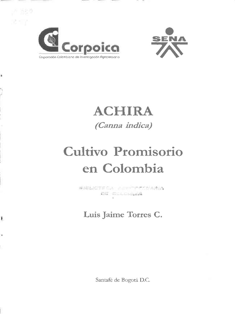 Achira | PDF | Plantas | Botánica