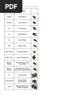 Tibia Item Prices and Sources List | PDF