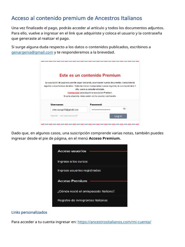 Instrucciones Contenido Premium | PDF