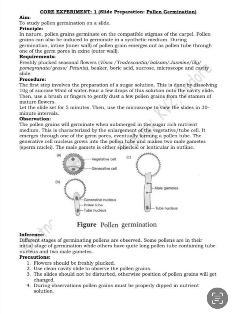 Practical File Pdf