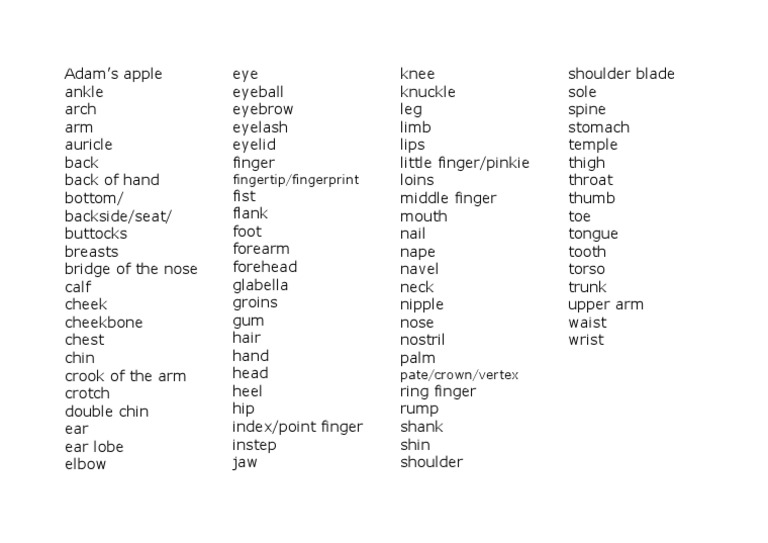 Body Parts Word List | PDF