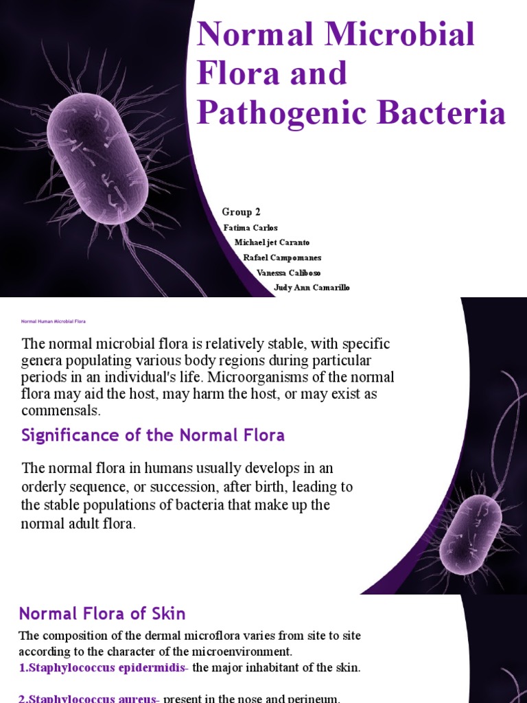 Normal Microbial Flora and Pathogenic Bacteria | Download Free PDF ...
