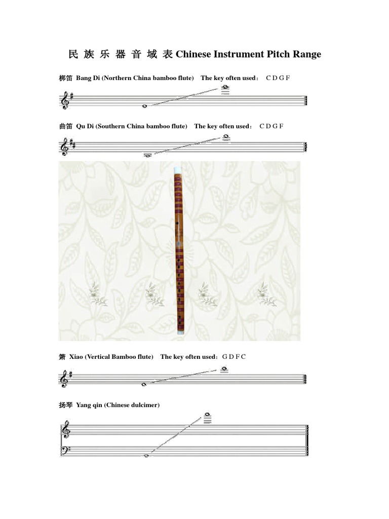 Three-Stringed Chinese Instrument Overview | PDF | Foreign Language Studies
