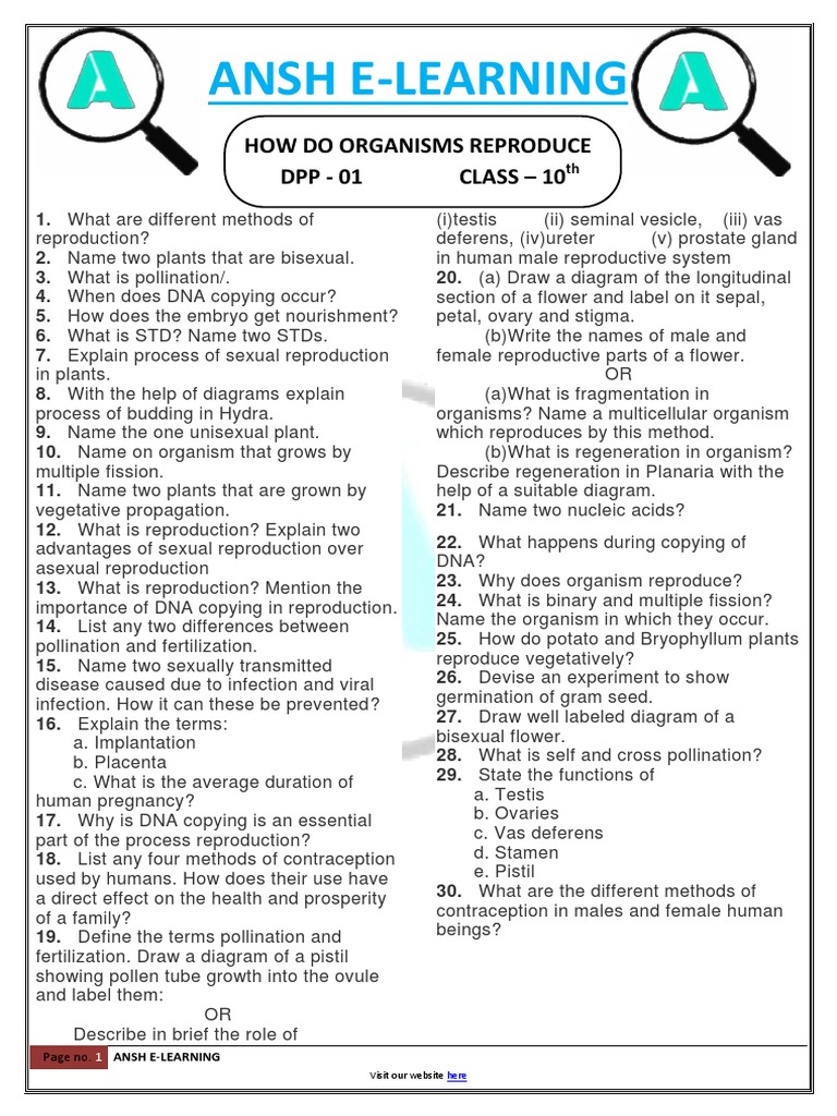 CH 8 How Do Organisms Reproduce DPP - 01 | PDF | Reproduction | Sexual ...