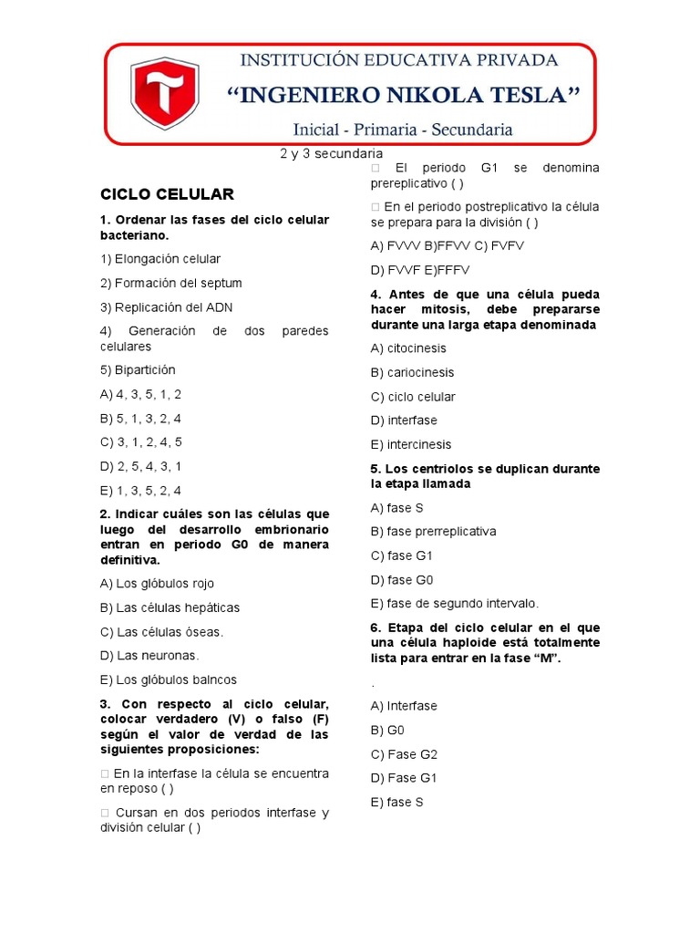 CICLO CELULAR 2 y 3 | PDF | Mitosis | Mitosis