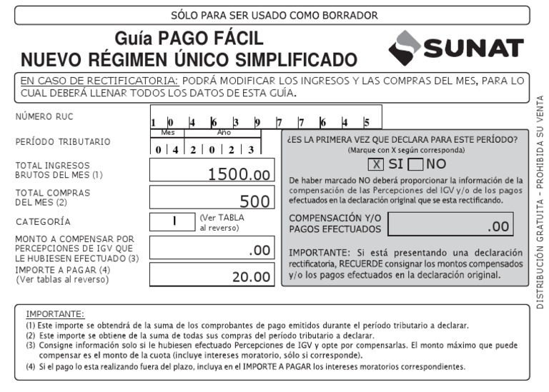 Guía de Pago Fácil Nuevo RUS | PDF