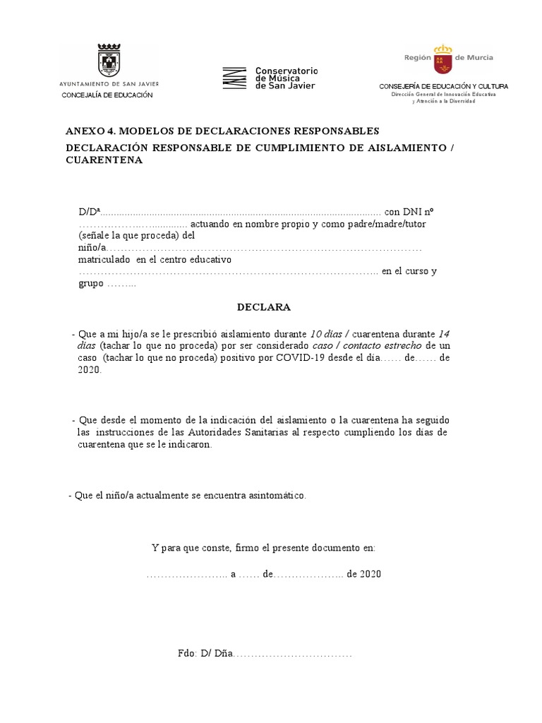 Declaración Responsable | PDF