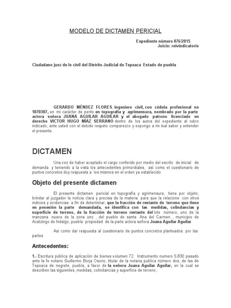 Modelo de Dictamen Pericial | PDF | Derecho