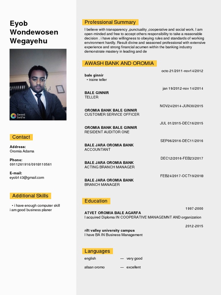Eyob Wondewosen Wegayehu CV | PDF