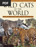 Wild Cat Family List by Lineage - Family | PDF | Felidae | Panthera