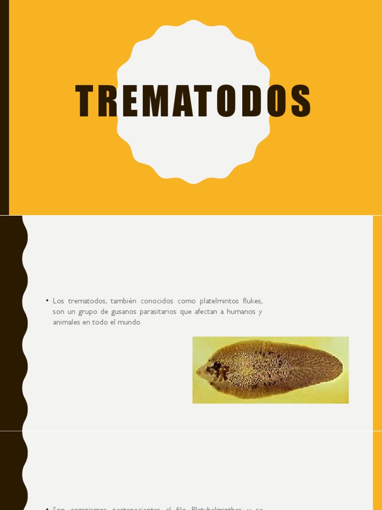 Trematodos | PDF | Especialidades Medicas | Medicina CLINICA