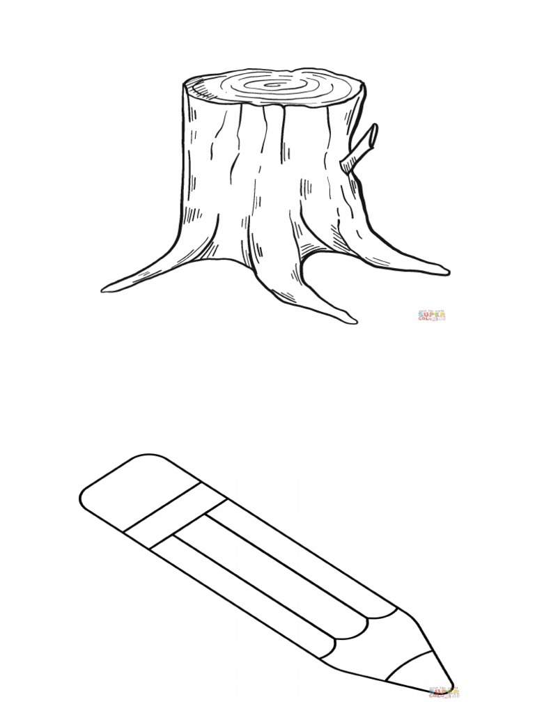 Dibujos Para El Libro De Textura Pdf