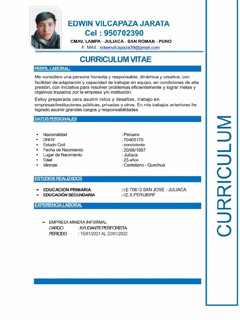 CV - Edwin Vilcapaza Jarata | PDF