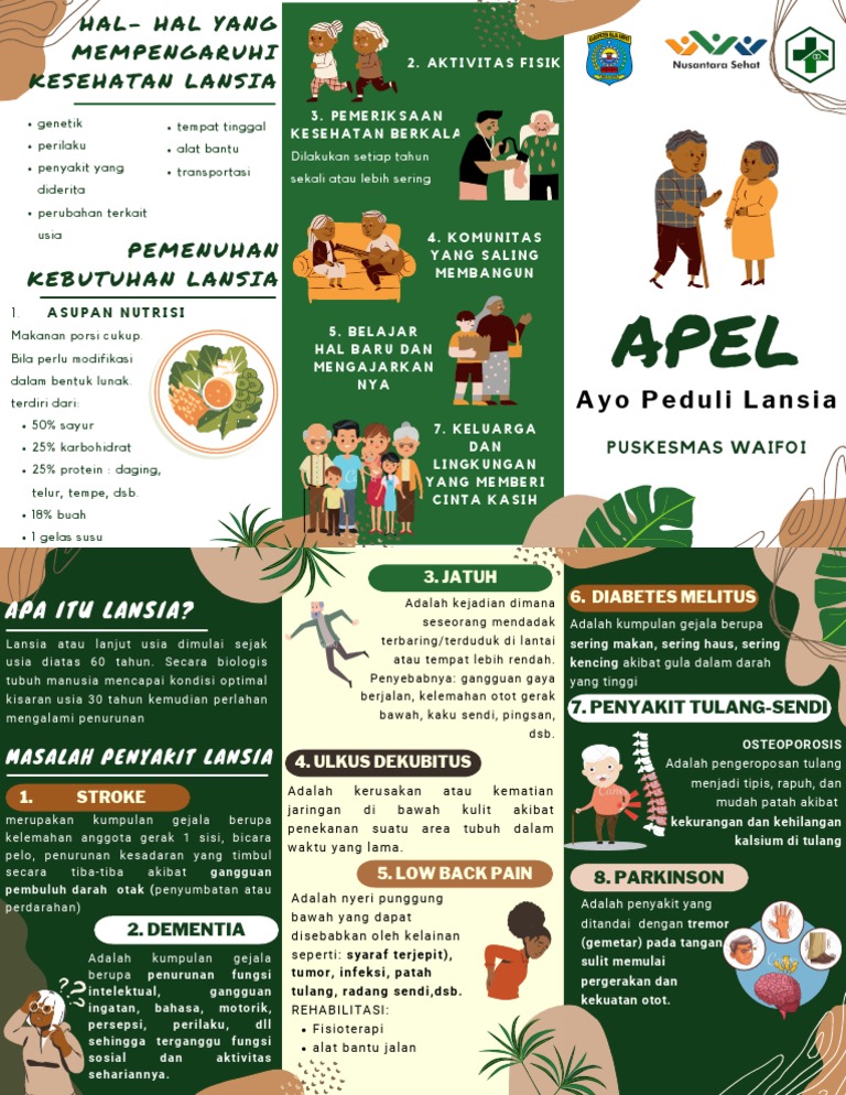 Leaflet Lansia | PDF