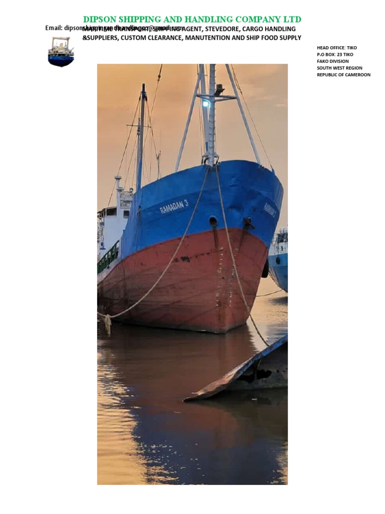 Dipson Shipping Company Profile | PDF