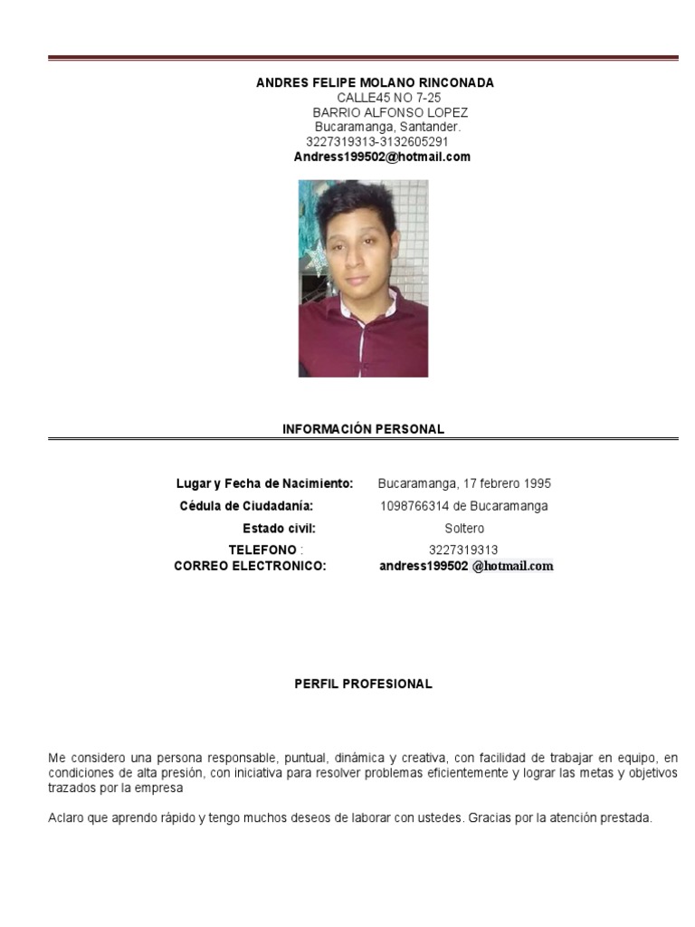 Andres Hoja de Vida | PDF