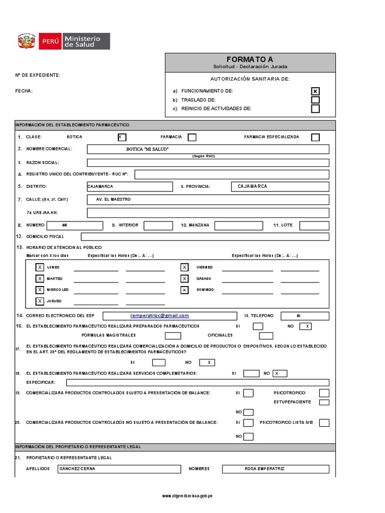 FORMATO A DIGEMID - MINSA | PDF | Farmacia | Química medicinal