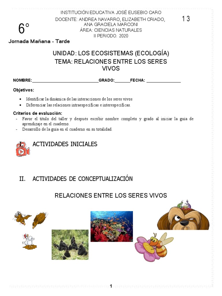 10° Interacciones Actividades | PDF | Biología | Ecología