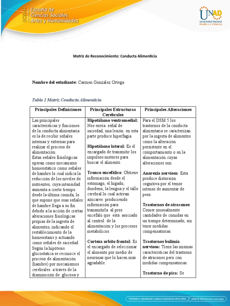 Matriz 1 - Formato Matriz de Reconocimiento | PDF | La sexualidad ...