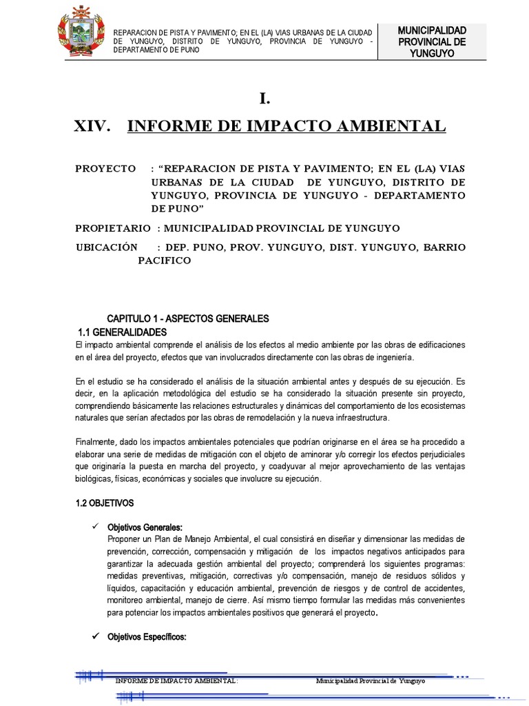 14.0. Informe de Impacto Ambiental | Descargar gratis PDF | Evaluación de impacto ambiental ...