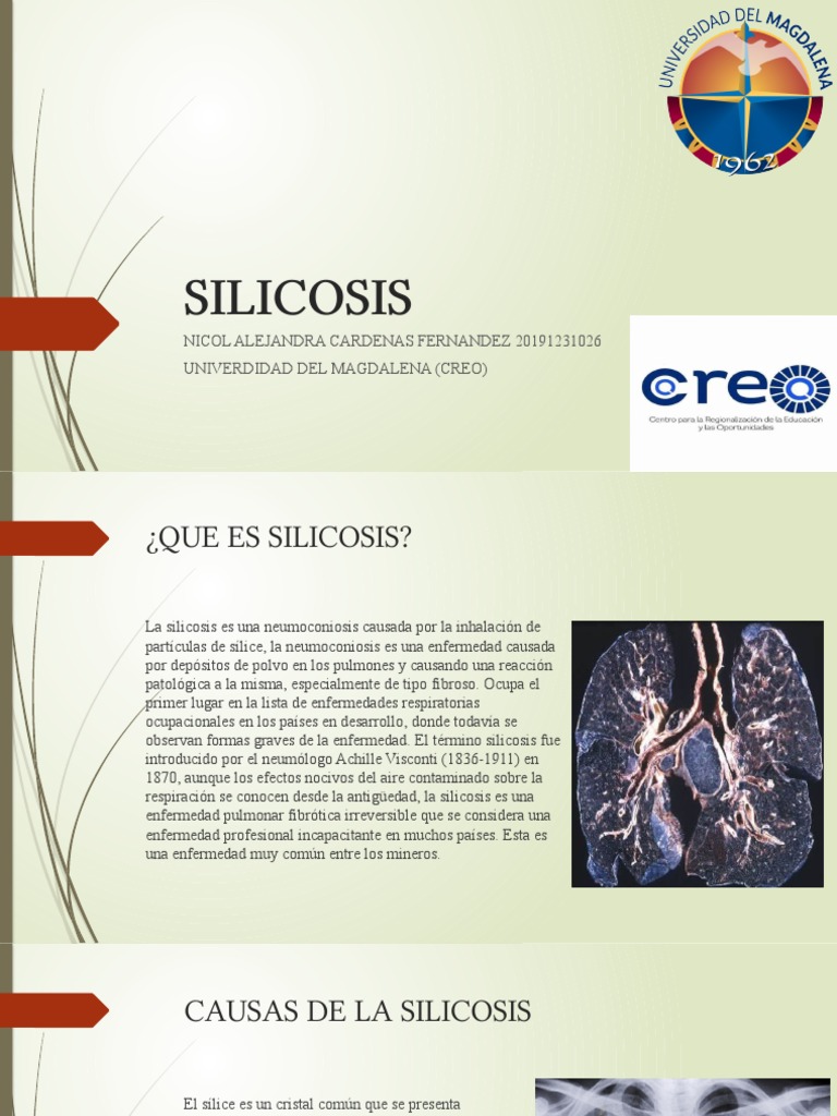 SILICOSIS | PDF | Enfermedades y trastornos humanos | Medicina CLINICA