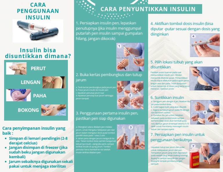 Cara Penggunaan Insulin | PDF