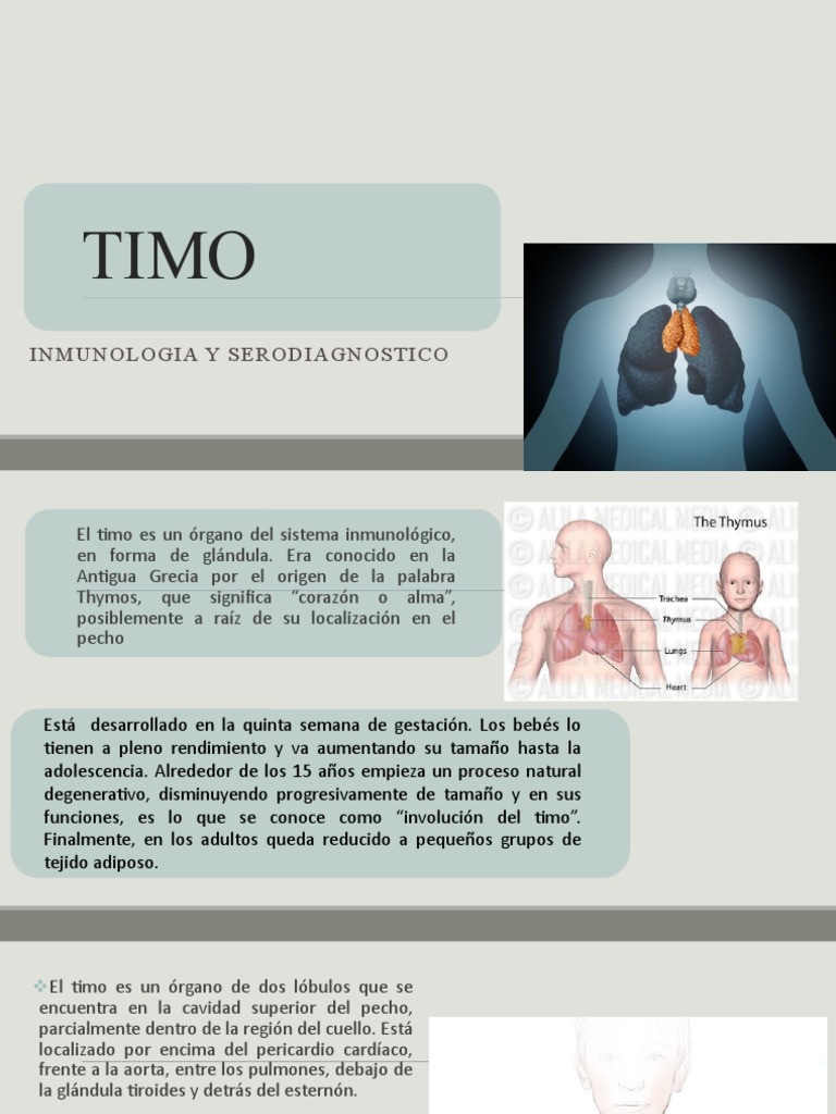 Timo 1 | PDF | Timo | Célula T