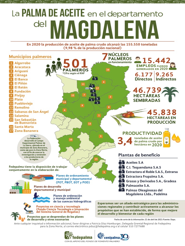 Infografía Magdalena | PDF