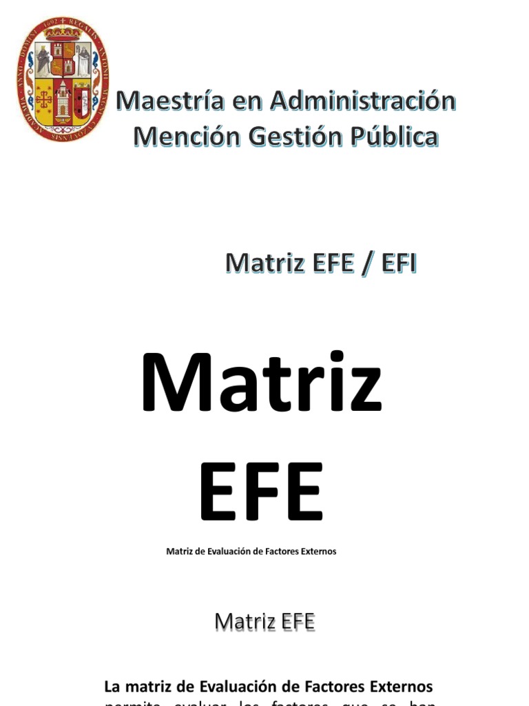 Matriz Efe y Efi | PDF | Análisis FODA | Mercado (economía)