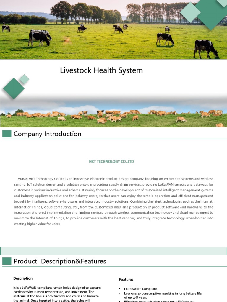 LoRaWAN Compliant Rumen Bolus | PDF | Internet Of Things | Cattle