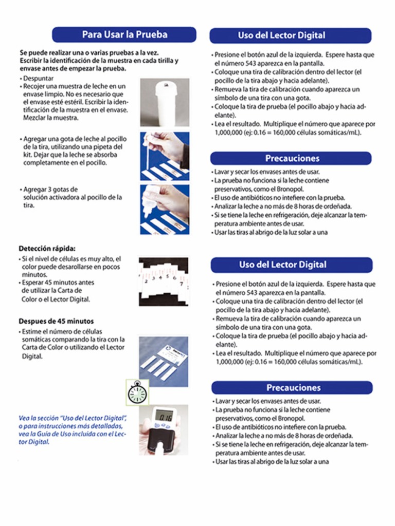 Instrucciones para El Test Porta SCC | PDF