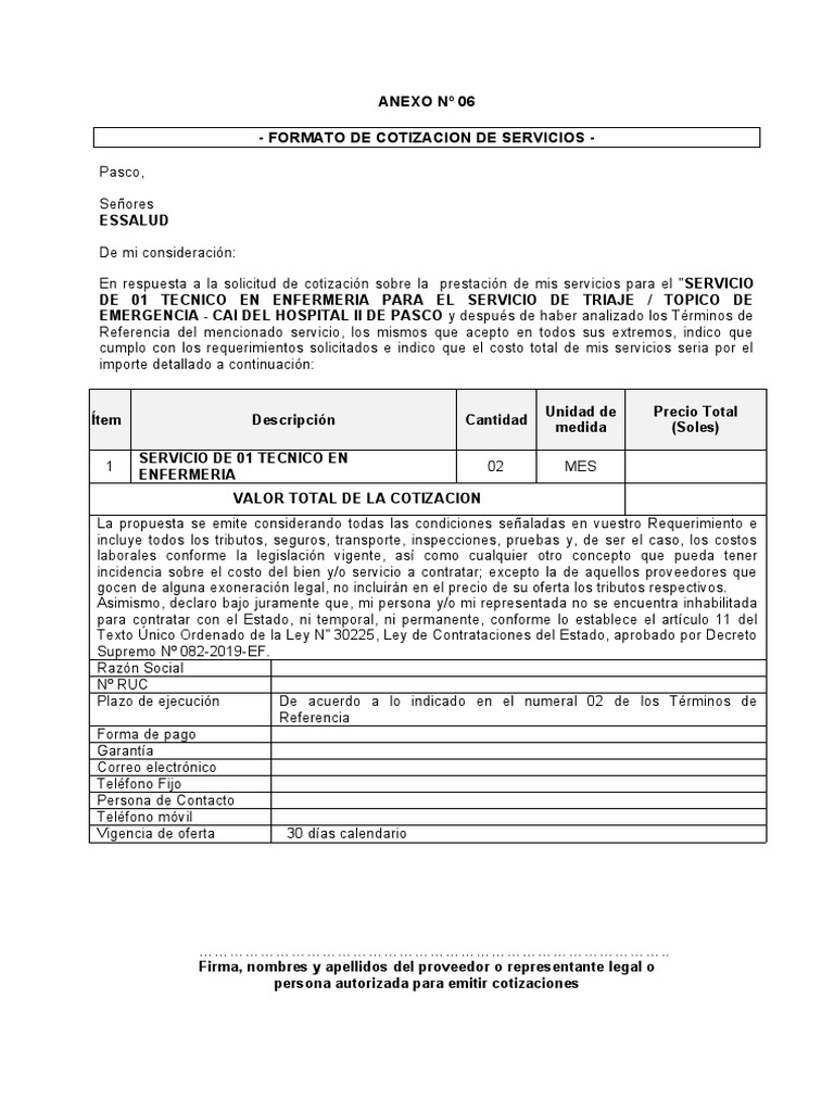 Anexo #06 - Formato de Cotizacion Tec. Triaje | PDF