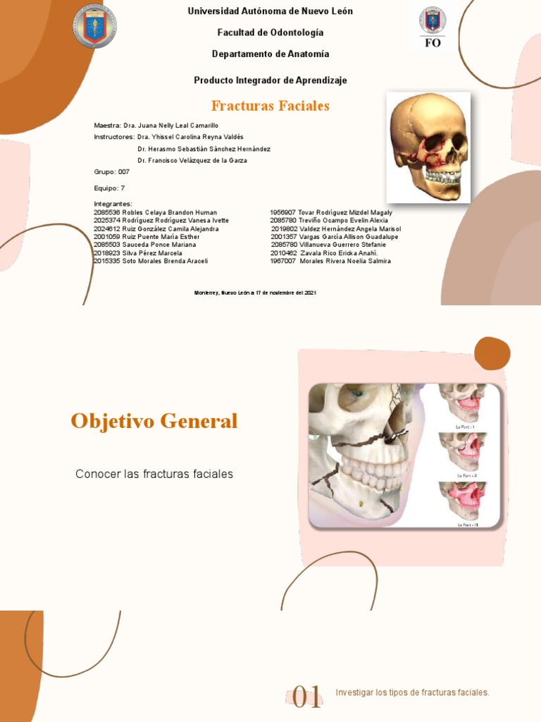 Pia Equipo 7 | PDF | Anatomía humana | Cabeza y cuello humanos