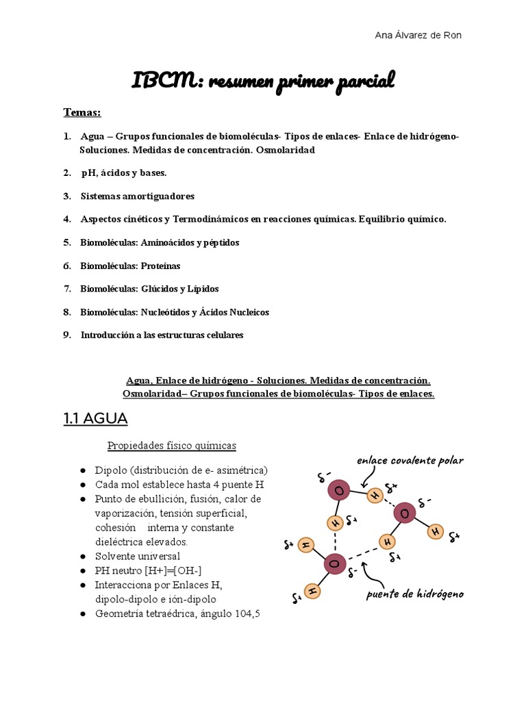 Resumen IBCM | PDF | Estructura proteica | Rna