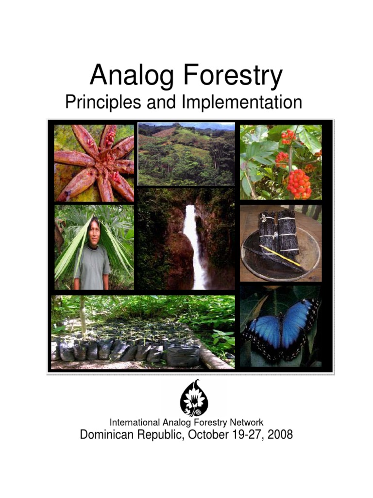 Analog Forestry Principles & Implementation | PDF | Soil | Biodiversity