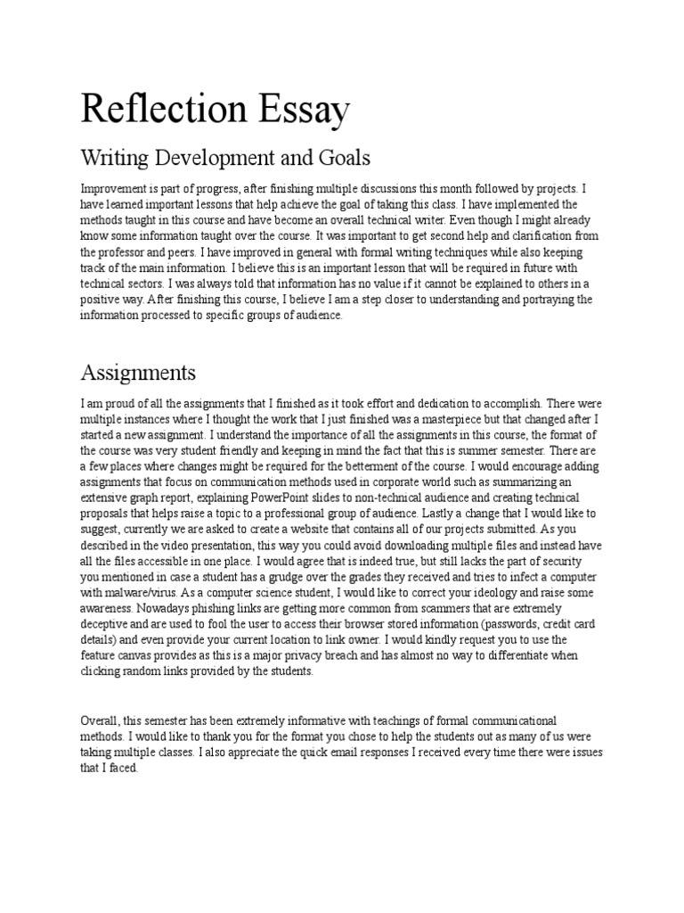 Reflection Essay | PDF | Computer Virus | Computing