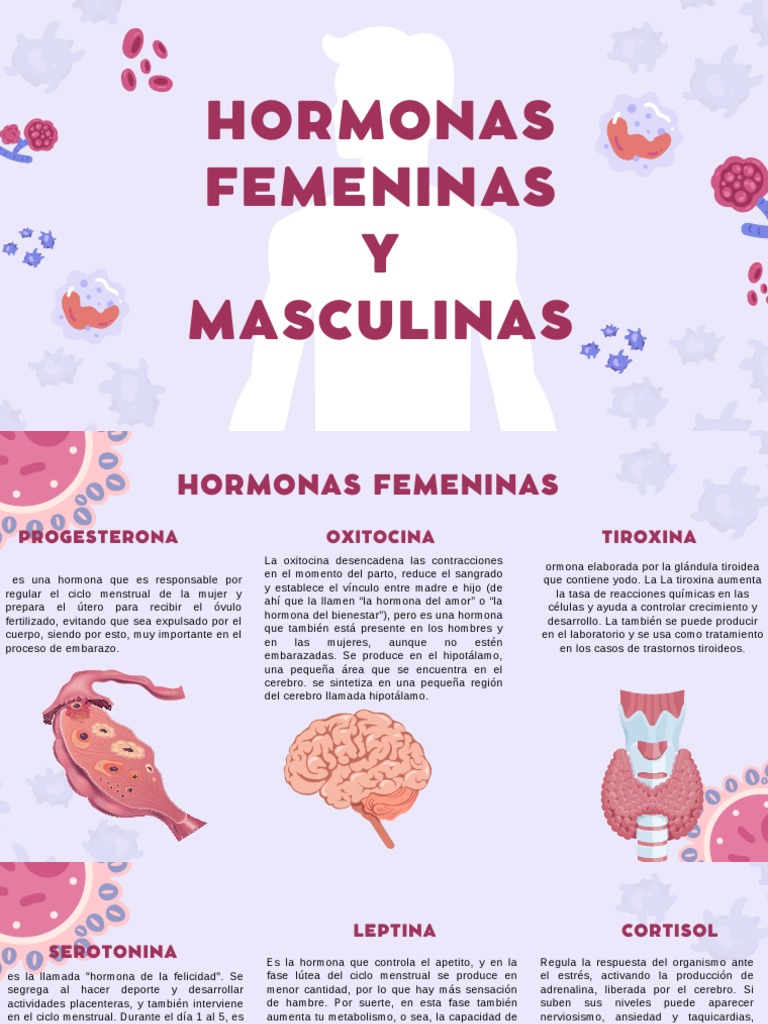 Hormonas Femeninas y Masculinas | Descargar gratis PDF | Andrógino | Hormona
