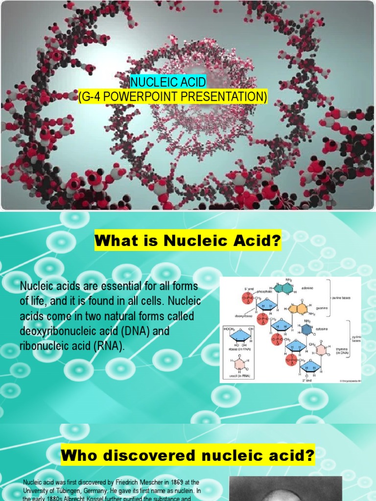 Nucleic Acid | PDF | Nucleic Acids | Rna